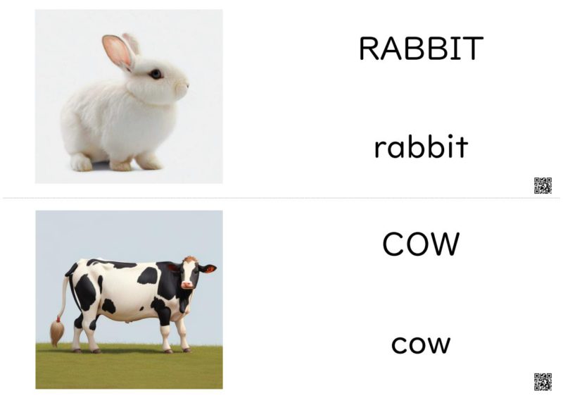 Picture cards for aphasia | Rehabilitation Worksheets